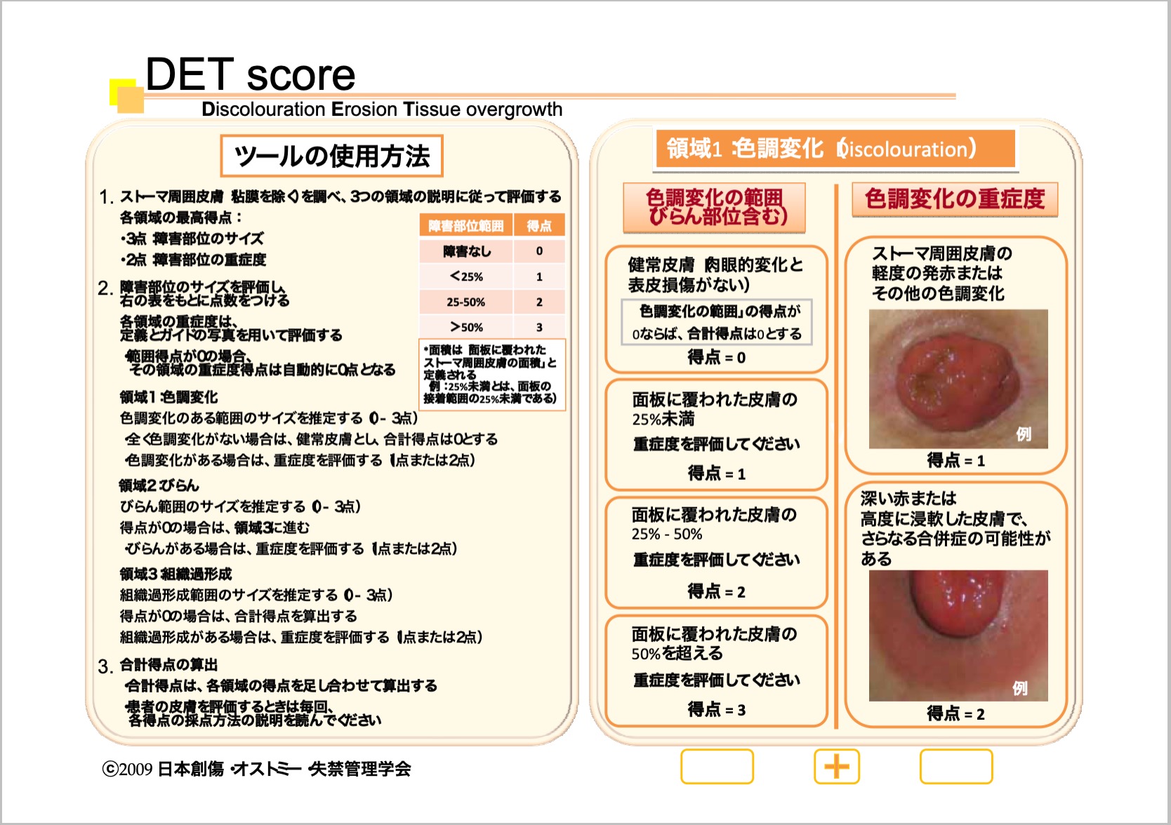 日本語版 The Ostomy Skin Tool | 一般社団法人 日本創傷・オストミー・失禁管理学会